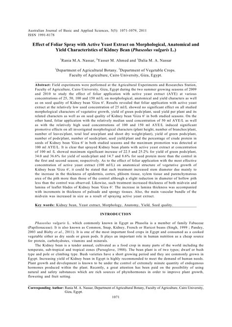 Pdf Effect Of Foliar Spray With Active Yeast Extract On Morphological