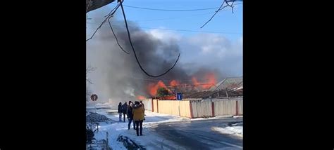 VIDEO Incendiu Puternic La Malu Alb