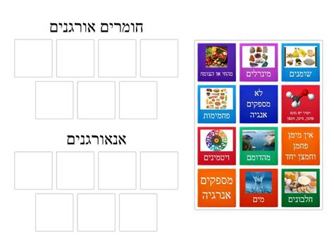 החומרים הבונים את התאים מיון קבוצה