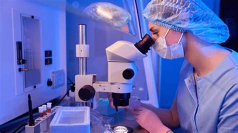 Ai In Ivf How Artificial Intelligence Is Improving Embryo Selection And Pregnancy Outcomes