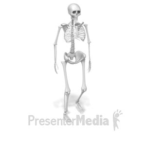 Moving Skeleton Animation
