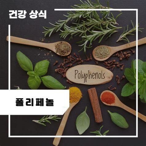 폴리페놀 효능 및 부작용 폴리페놀 음식초콜릿 커피 등 네이버 블로그