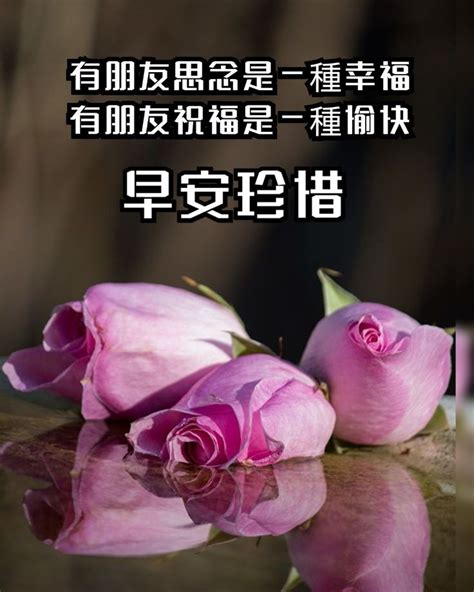 Pin von 宸翔 蔡 auf 12早安問候 in 2024