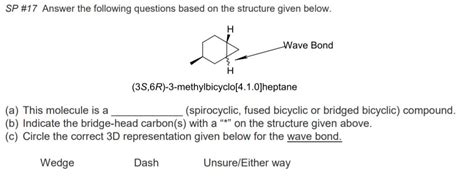 solved sp 17 answer the following questions based on the