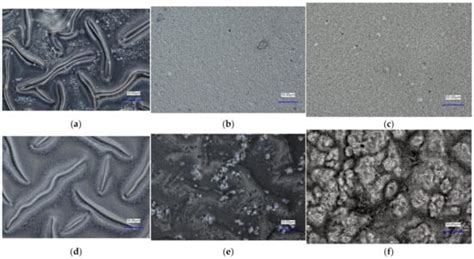 Hybrid Polymerinorganic Materials With Hyaluronic Acid As Controlled