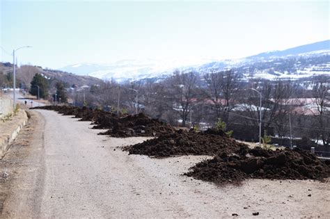 ადიგენის მუნიციპალიტეტის მერია 🌳☘️ადიგენის მუნიციპალიტეტში გარემოს გამწვანების აქტიური