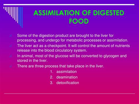 Ppt Assimilation Of Digested Food Powerpoint Presentation Free
