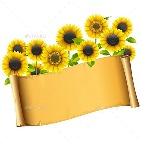 Placard Template