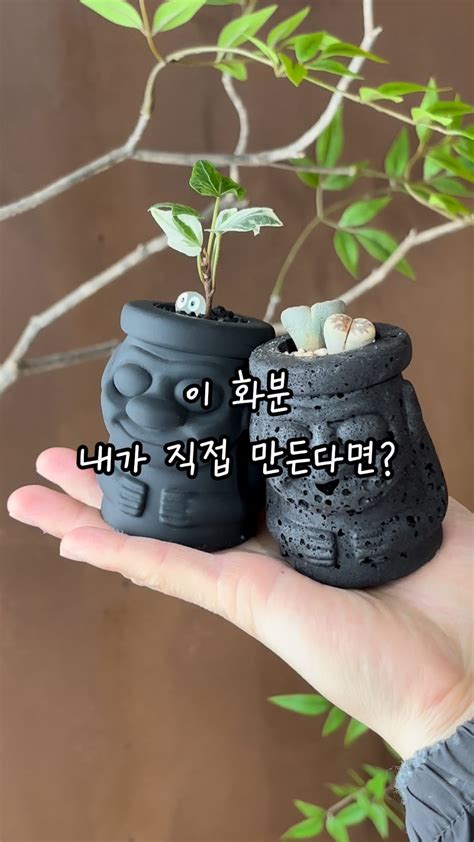 녹색주의보 구미식물가게 체험형식물공방 이 화분 사는 게 아니라 직접 만든다면 🪴 식물을 좋아하는데 내 취향에 딱