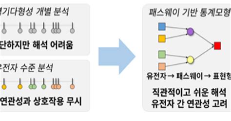 이달의 과학기술자상 박태성 서울대교수 생물학·통계학 접목해 유전자 정밀 분석맞춤의학 길 넓혔다