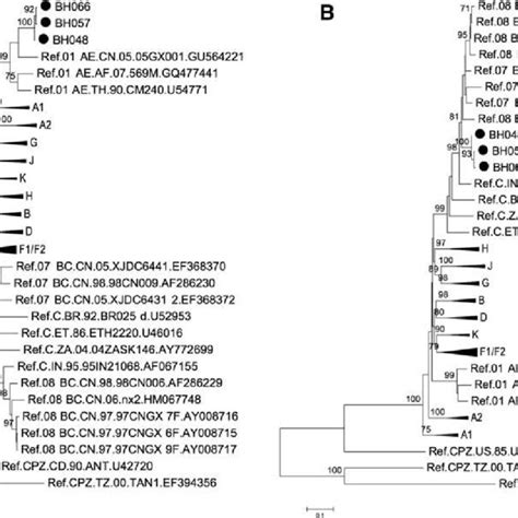 Phylogenetic Analyses Of Hiv 1 Sequences Retrieved From Beihai City In