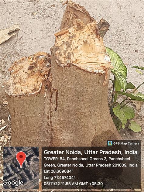 Nefowa On Twitter Rt Greens2society पंचशील ग्रीन्स2 में बिल्डर ने