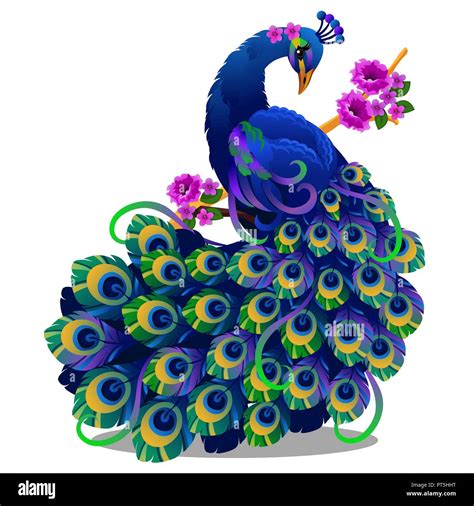 Beautiful Bird Peacock Sitting On A Perch With Flowers Isolated On