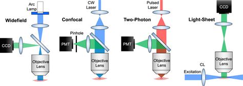 Schematics Of Wide Field Confocal Two Photon And Light Sheet Download Scientific Diagram