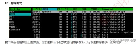 【linux】htop命令的使用详解htop命令详解 Csdn博客