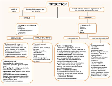 Mapa Conceptual De La Nutricion 2 Descargar Gratis Pdf