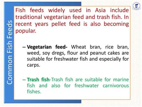 Supplementary Fish Feed Pdf