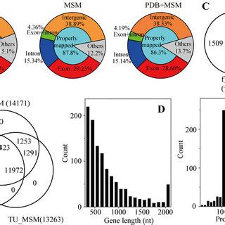 Statistics Of RNA Seq A Mapping Of RNA Seq Reads To The Reference Download Scientific