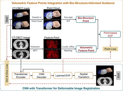 Data Augmentation Process Employing Registration To Constrain Image Download Scientific Diagram