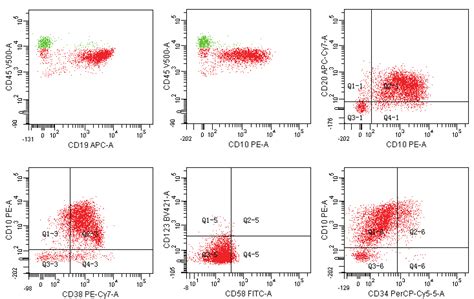 Results Of Flow Cytometry Detection Flow Cytometric Immunophenotyping