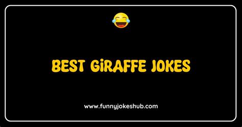 150 Best Cat Jokes That Will Make You Purr With Laughter Funny Jokes Hub