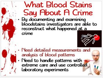 Bloodstain Patterns PowerPoint Illustrated Babe Guided Notes Worksheet