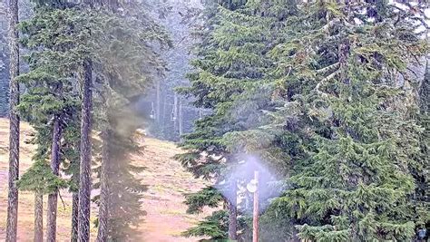 Webcam Willamette Pass Resort Oregan Usa · Vision Environnement