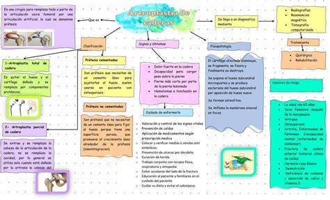 Mapa De La Artroplastia Anai Pinto UDocz