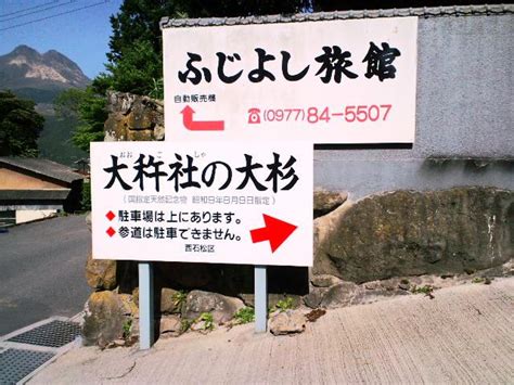 大杵社の大杉大分県由布市 風の宿りブログ