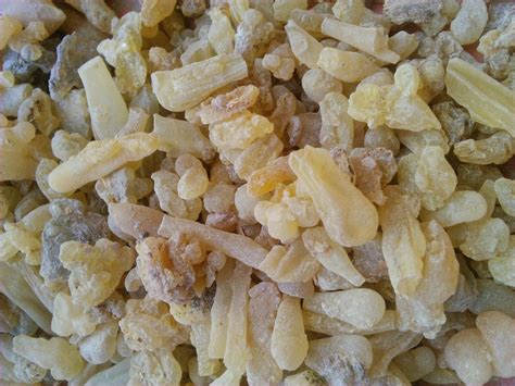 Boswellia Serrata Gum At Best Price In India