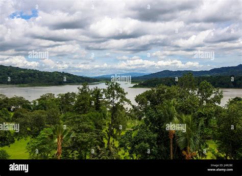 Gamboa Regenwald Stockfotos Und Bilder Kaufen Alamy