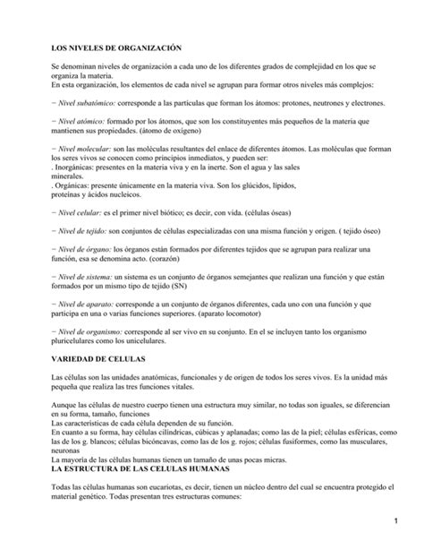 LOS NIVELES DE ORGANIZACIÓN