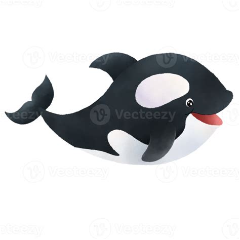 Orca Killer Whale Watercolor 9586598 Png