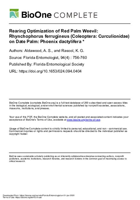 Pdf Rearing Optimization Of Red Palm Weevilrhynchophorus Ferrugineuscoleoptera