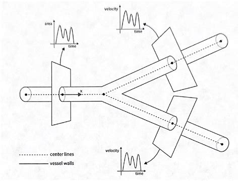 figure 1 from physics informed and data driven discovery of governing