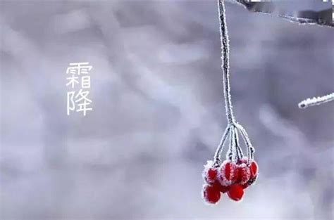【莒南一小•二十四节气】霜降：草木摇露为霜，天寒莫忘添衣 搜狐大视野 搜狐新闻