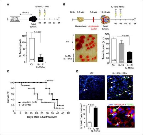 Interleukin 15interleukin 15rα Complexes Promote Destruction Of