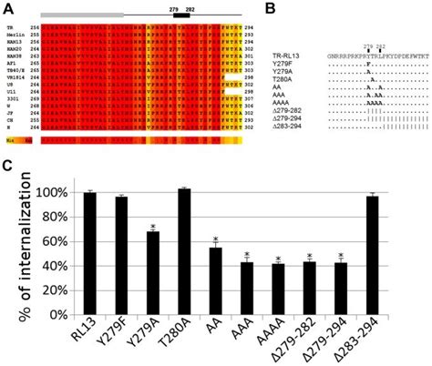 A Local Multiple Sequence Alignment Of The Rl13 C Terminus The Gray Download Scientific