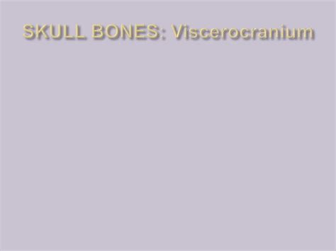 9 The Skull Scalp Face And Cranial Cavity Pptx