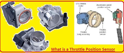 Throttle Position Sensor Throttle Position Sensor Deutsch Kocgl