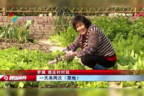 南庄：春回大地 龙抬头” 村民田间地头春种忙