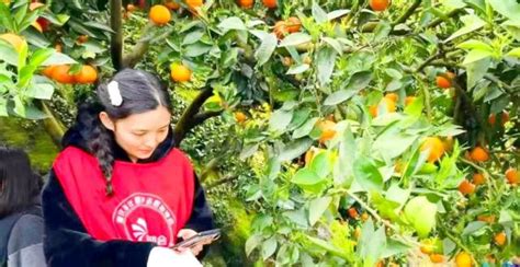 喜迎二十大丨教育赋能，让每个女性享有追梦的权利 腾讯新闻