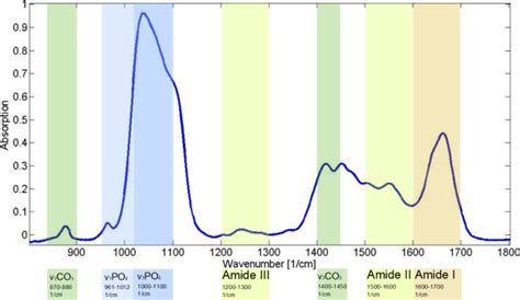Representative Ftir Spectrum Of Human Cortical Bone With The Download Scientific Diagram
