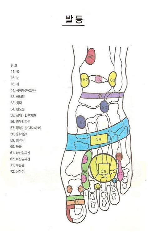 발 발바닥 발등 혈자리 지압의 대증요법 네이버 블로그