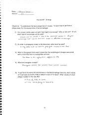 Pre Lab 7 Pdf Course Hero