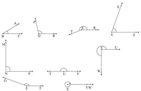Draw A Circle Of Any Radius Draw Its Diameter Measure The Radius And