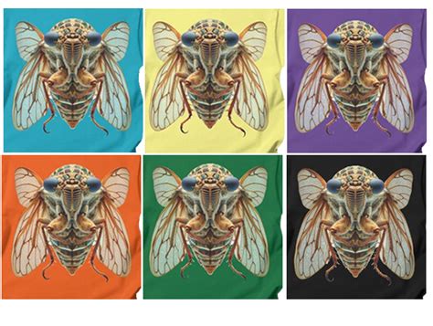Art Type Cicada