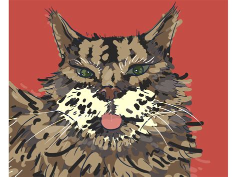 在猫咖发现的略略猫 吐司边边ff 站酷ZCOOL