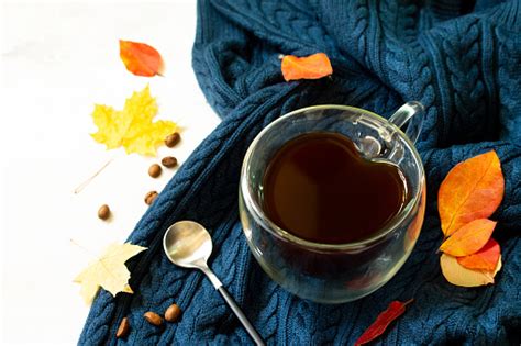 단풍과 따뜻한 니트 격자 무늬 배경에 하트 모양의 커피 한 잔 공간을 복사합니다 0명에 대한 스톡 사진 및 기타 이미지 0명 10월 11월 Istock